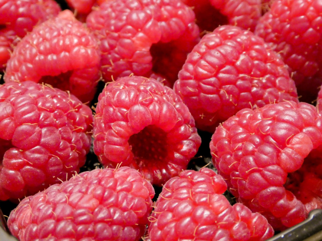 1 Barquette de Framboises (125g) locale Primeur Tournefeuille Fruits ...