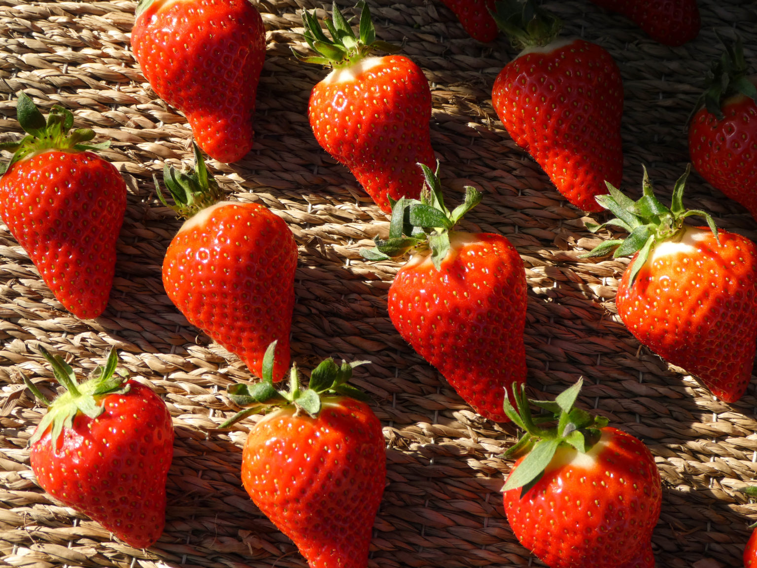 500gr Fraises Cléry Primeur Tournefeuille Fruits Légumes Epicerie ...